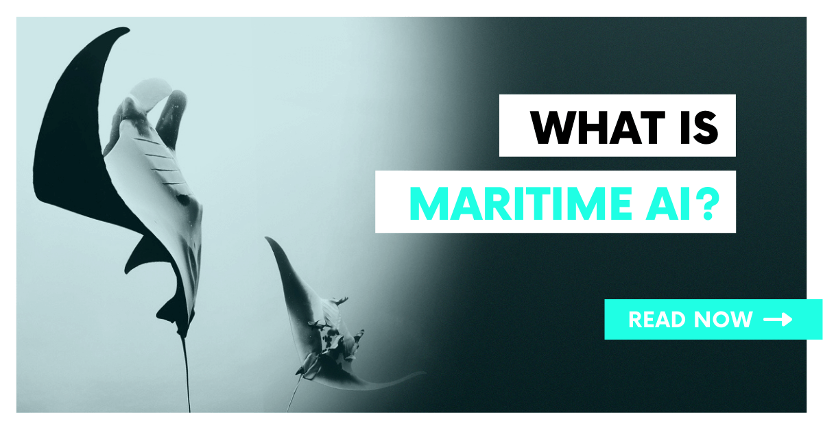 What is maritime AI? - Windward