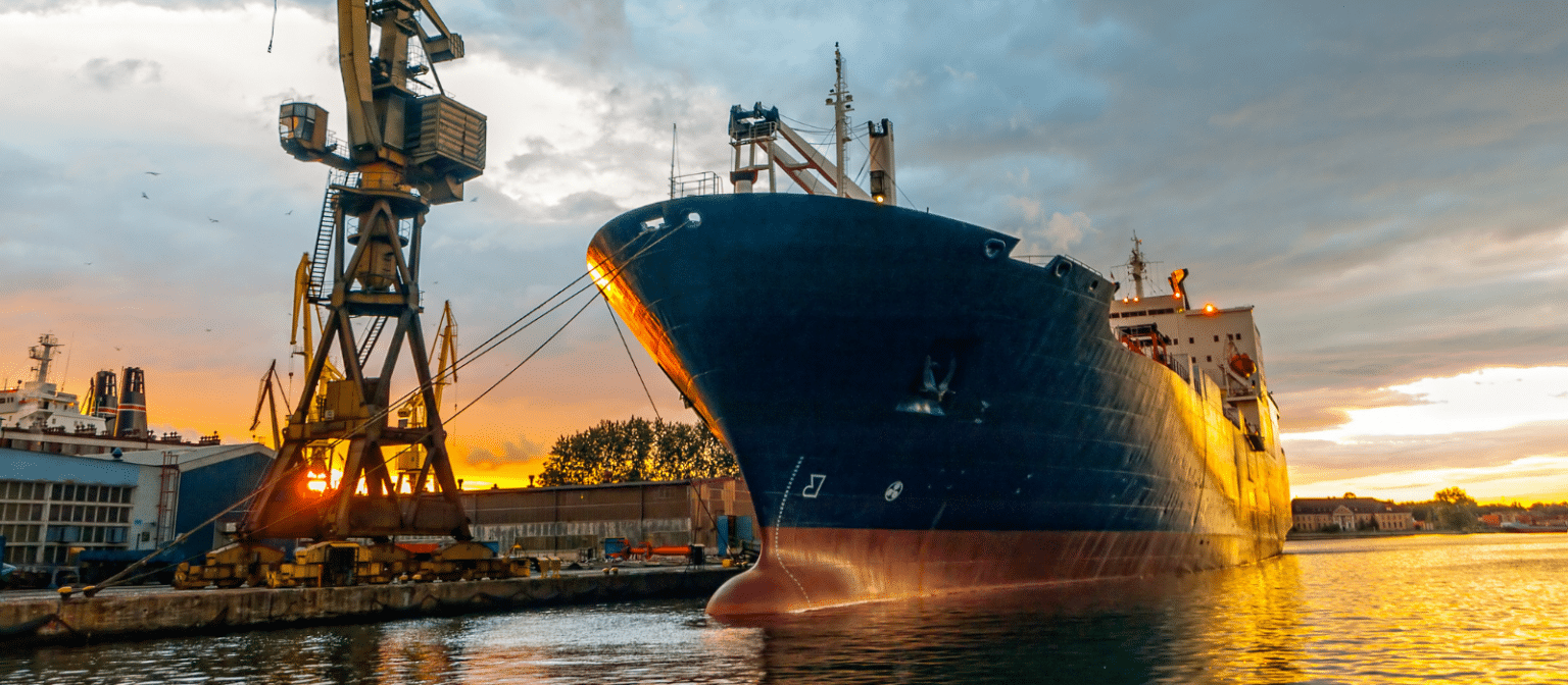 What is an SDN list?