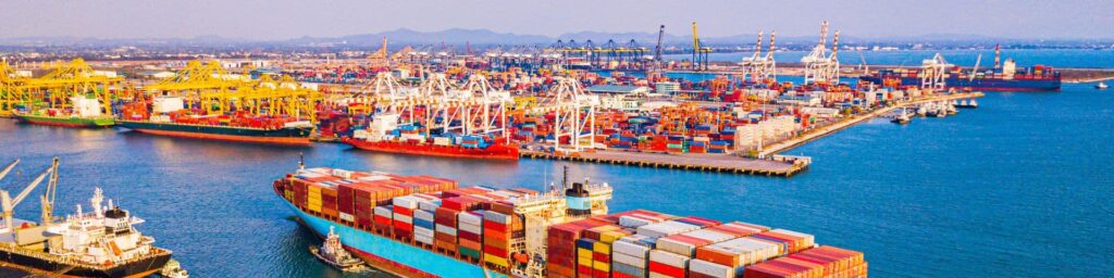 What is a Transportation Management System (TMS)?