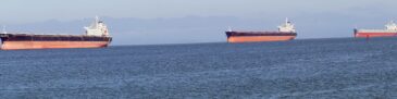 What is Vessel Screening?