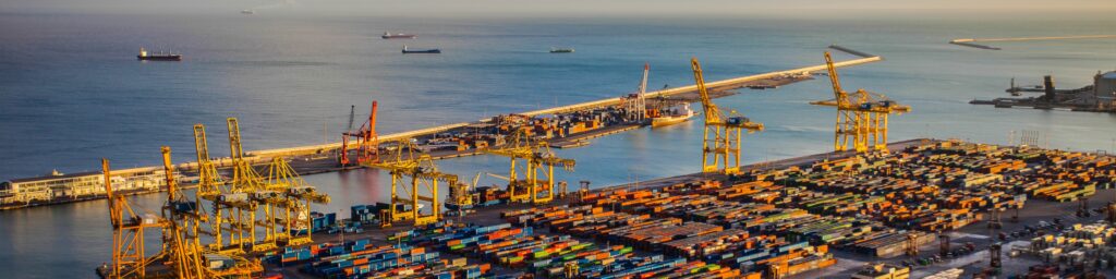 What is Port Congestion?