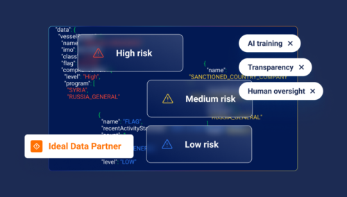 What is vessel vetting?